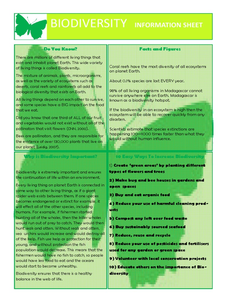 Biodiversity Activity Sheet 1 | PDF | Biodiversity | Environmental ...