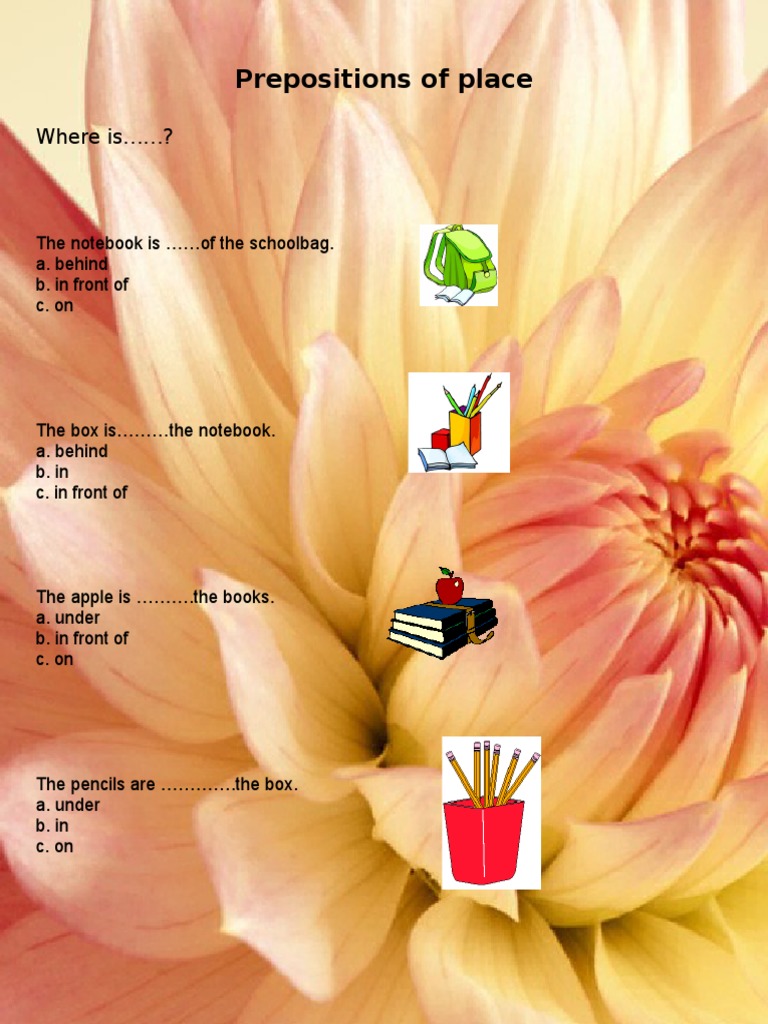 Prepositions of Place Quiz | PDF