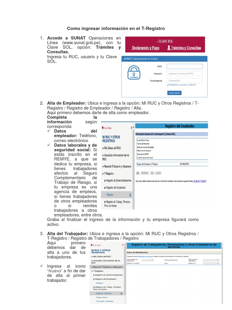 13 Pasos para Registrar Informacion en El T-Registro | PDF ...