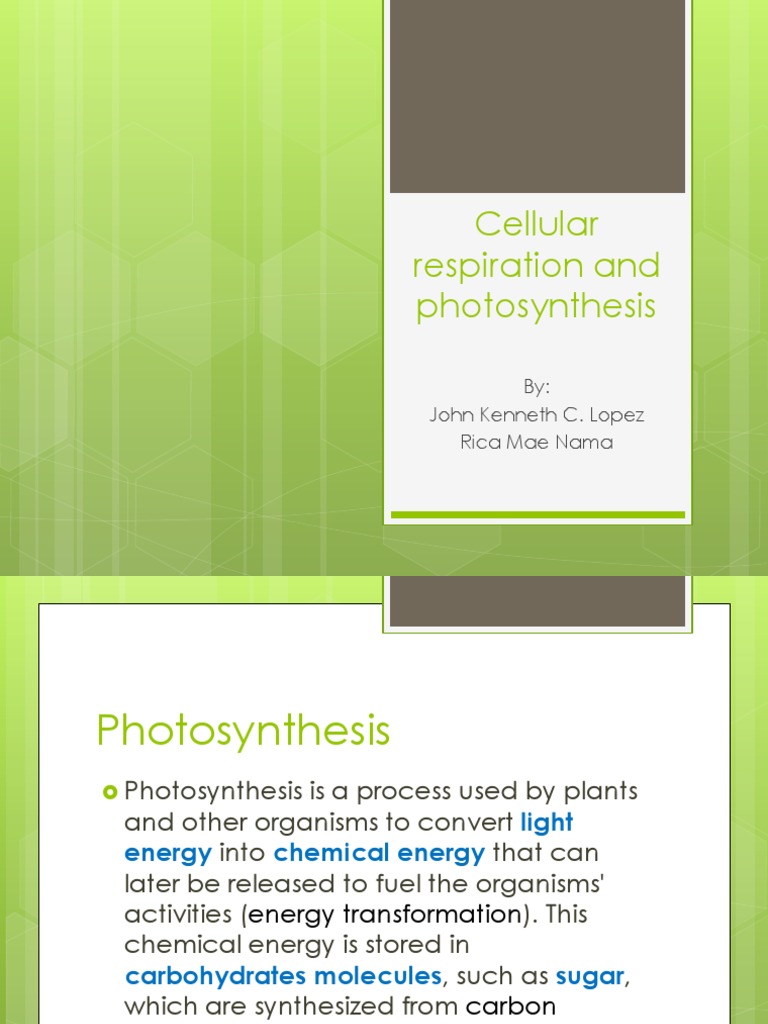 Cellular Respiration and Photosynthesis | PDF | Cellular Respiration ...