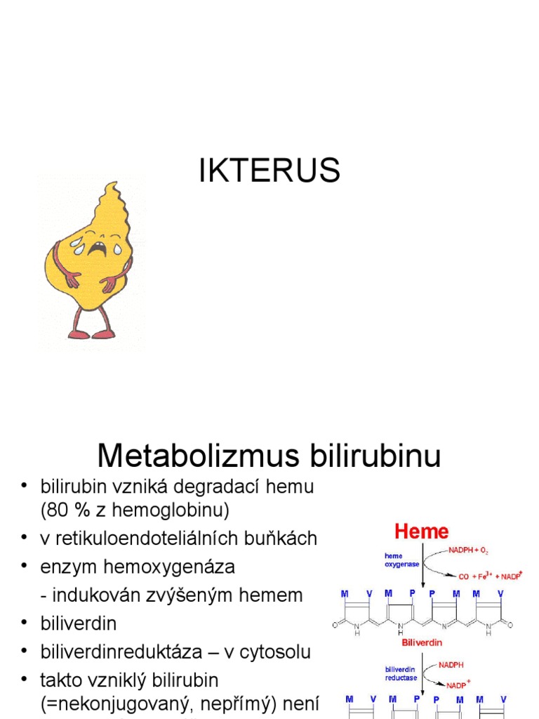 Bilirubin | PDF