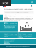 Categorización CUDYR: Riesgo y Dependencia | PDF | Enfermería | Hospital