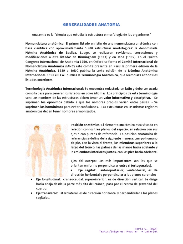 Generalidades Anatomia | PDF | Articulación | Hueso