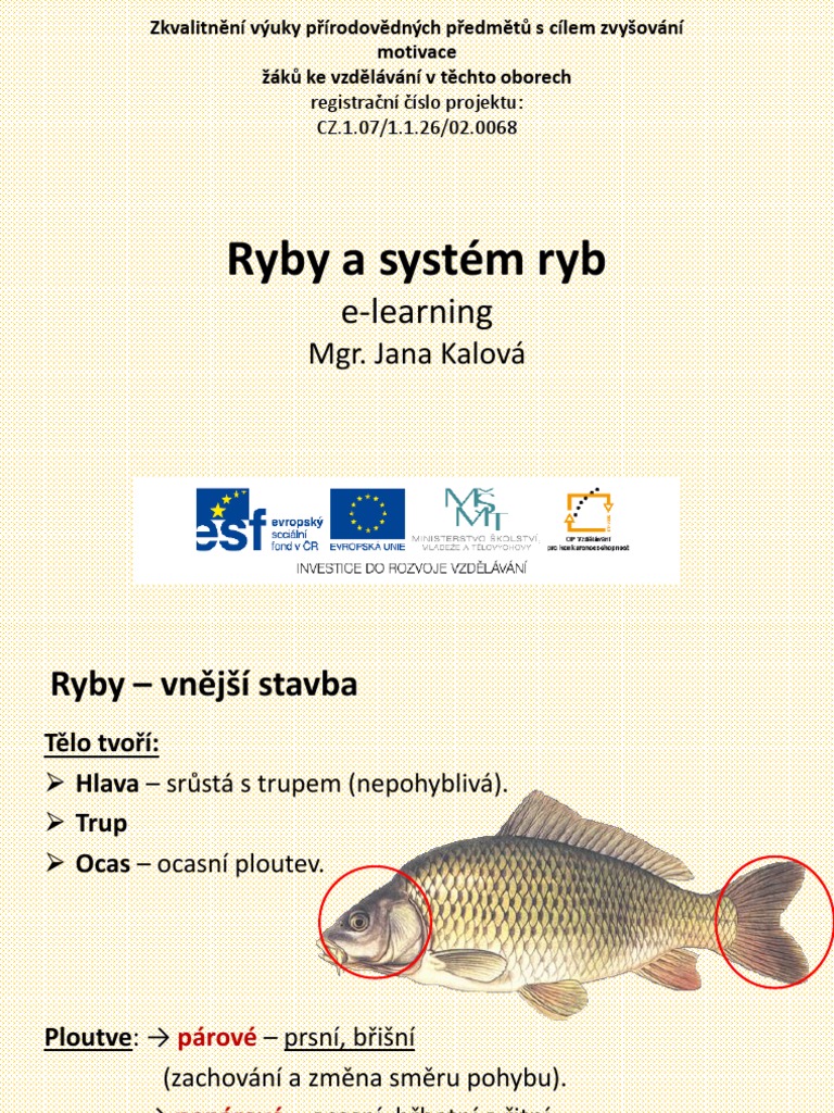 Ryby | PDF