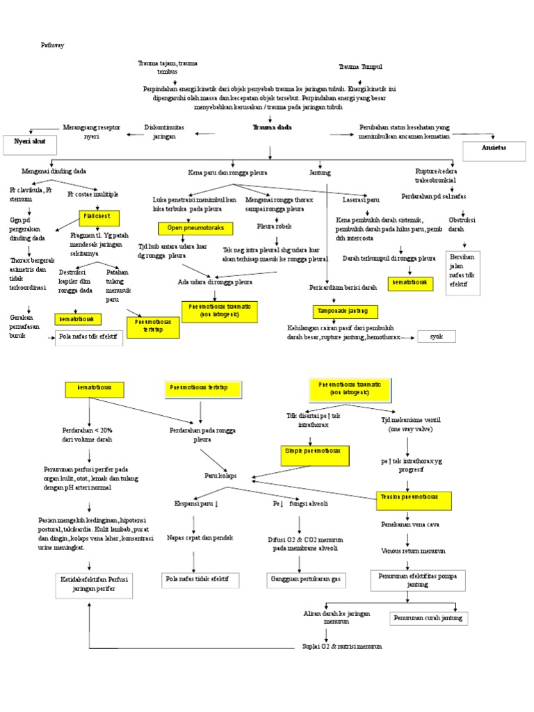 Pathway Trauma Dada | PDF