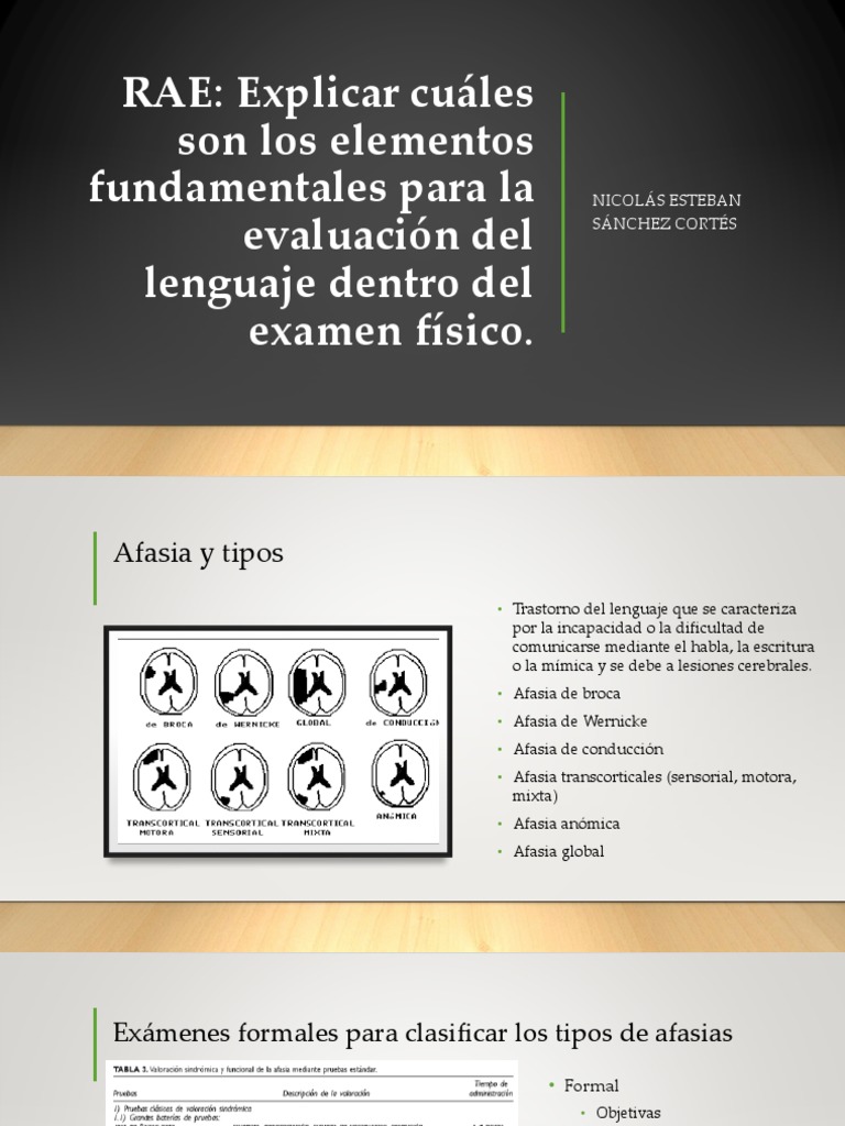 RAE #6 Explicar Cuáles Son Los Elementos Fundamentales para La ...