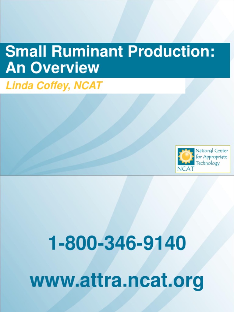 Small Ruminant Production Overview | PDF | Sheep | Goat