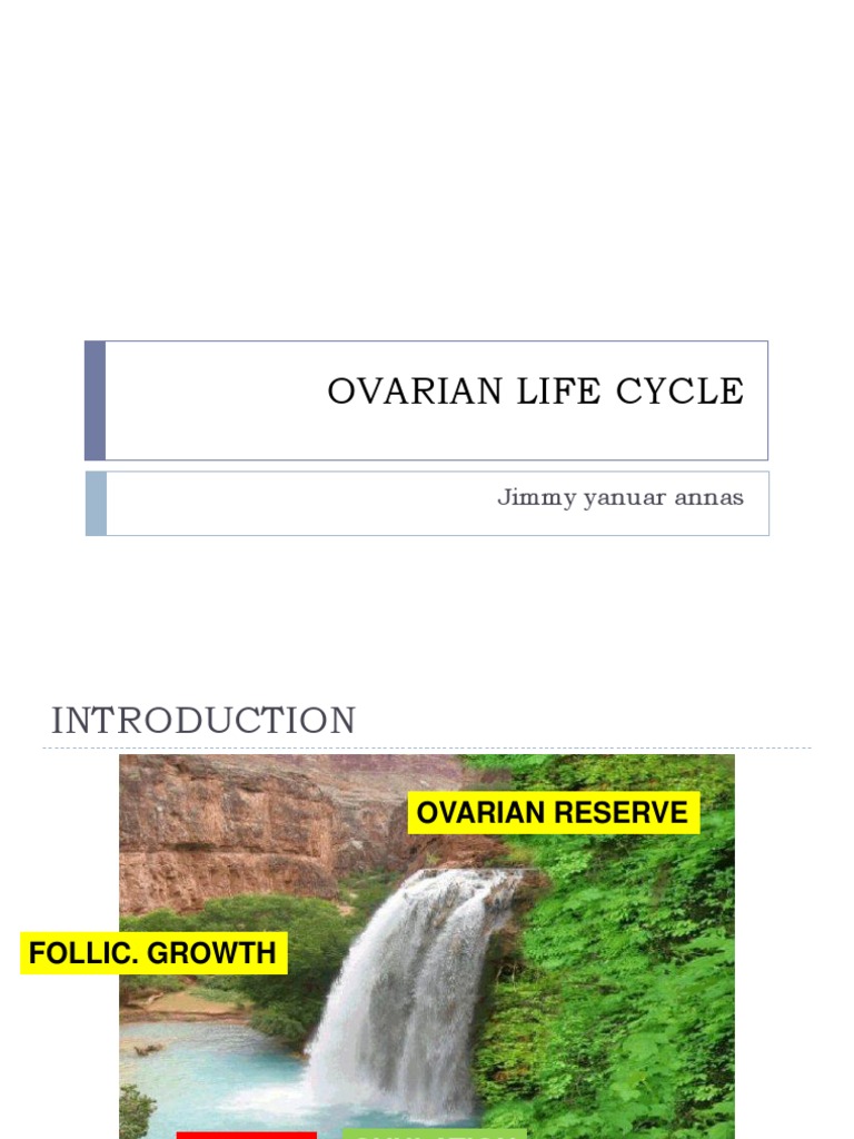 Ovarian Life Cycle: Jimmy Yanuar Annas | PDF | Luteinizing Hormone ...