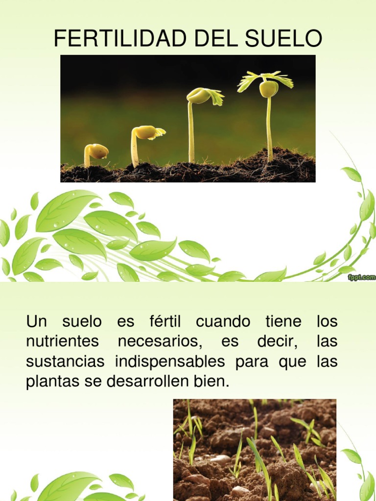 Fertilidad en el suelo | Suelo | Oxígeno