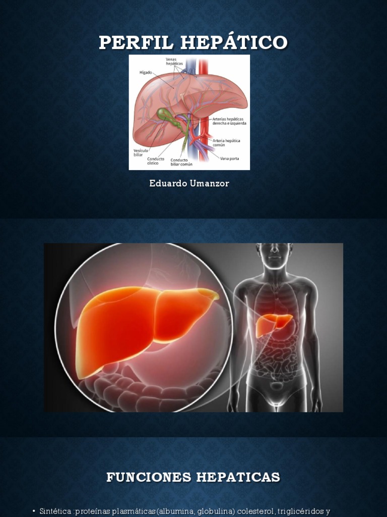 Perfil Hepático | PDF | Hepatitis | Bilis