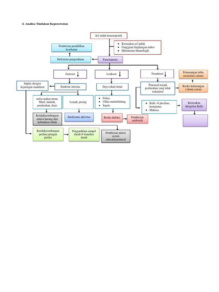 Pathway Pansitopenia | PDF