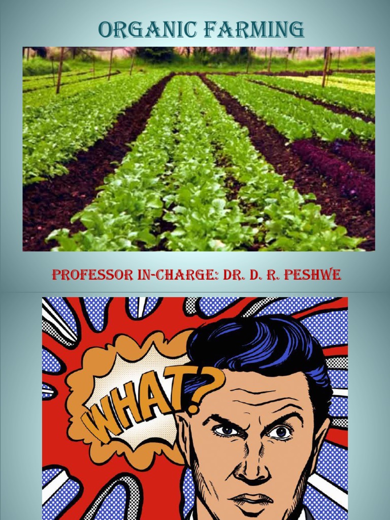 Challenges and Benefits of Organic Farming in India | PDF | Organic ...