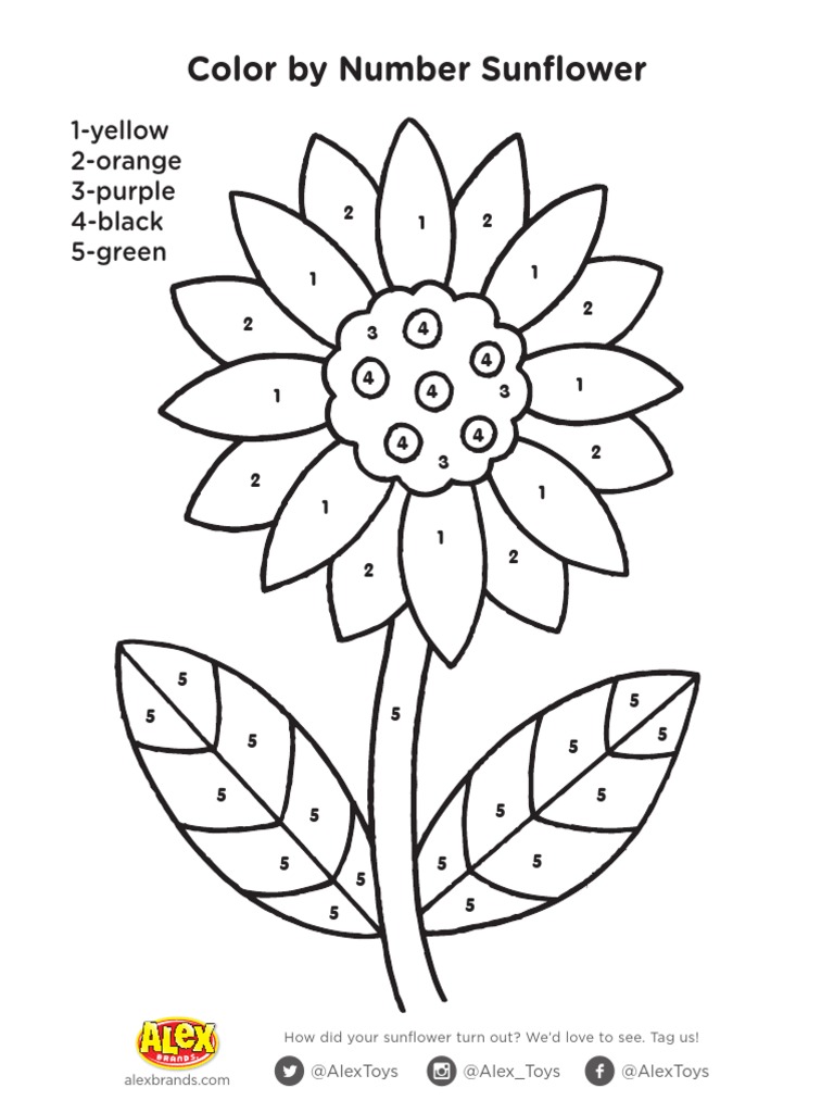 Color by Number Sunflower | PDF