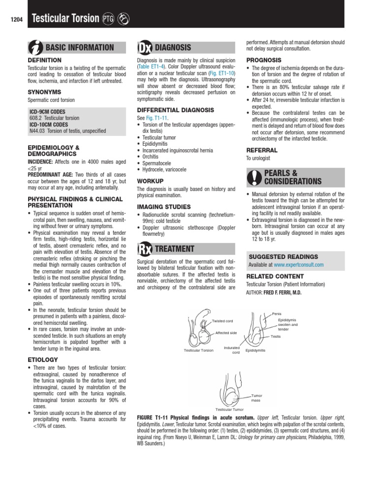 Testicular Torsion: Basic Information Diagnosis | PDF | Testicle ...