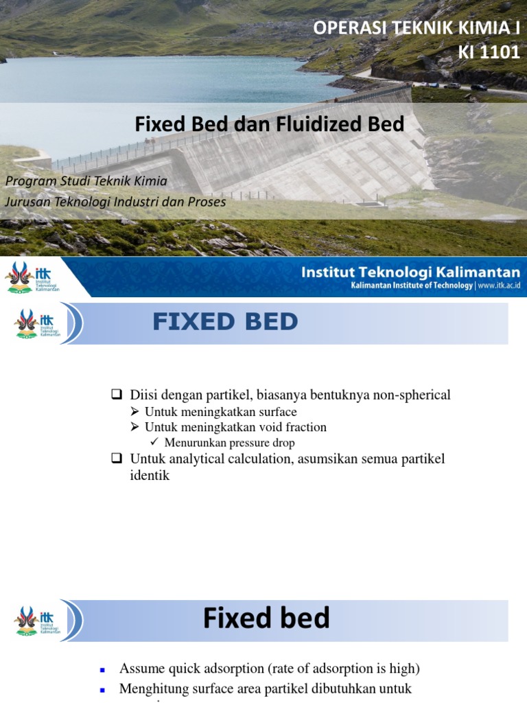 Fluidezed Bed & Fixed Bed | PDF