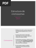 Niveles de Compactacion Del Adn | PDF | Cromatina | Cromosoma