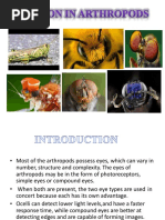 Affinities of Cyclostomes | PDF | Vertebrates | Organ (Anatomy)