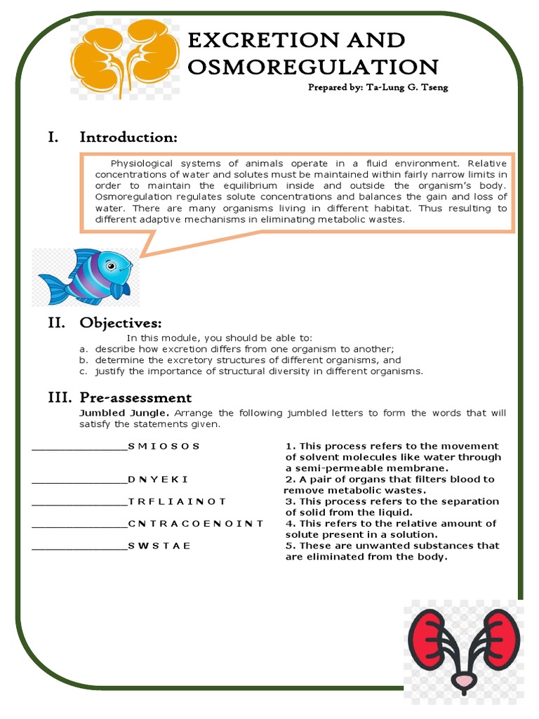 Excretion and Osmoregulation - Module | PDF | Kidney | Biology