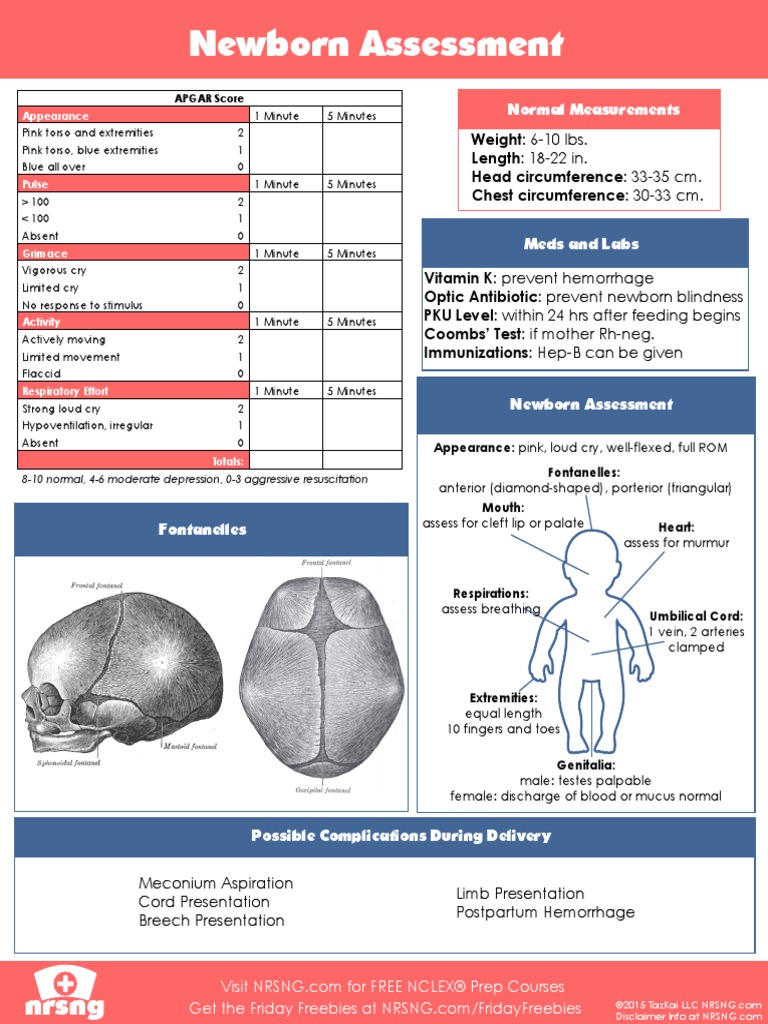 Newborn Assessment Chart | PDF | Medicine | Clinical Medicine