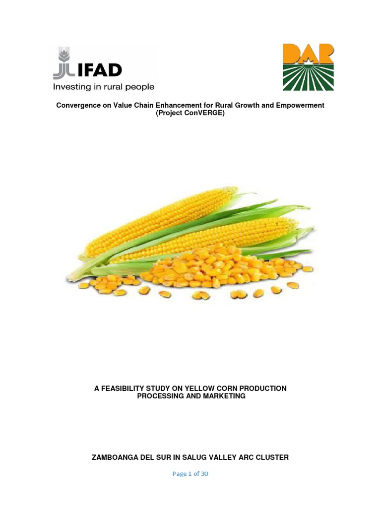 Feasibility Draft of Yellow Corn in Salug Valley (3-18-19) | PDF | Supply And Demand | Wheat