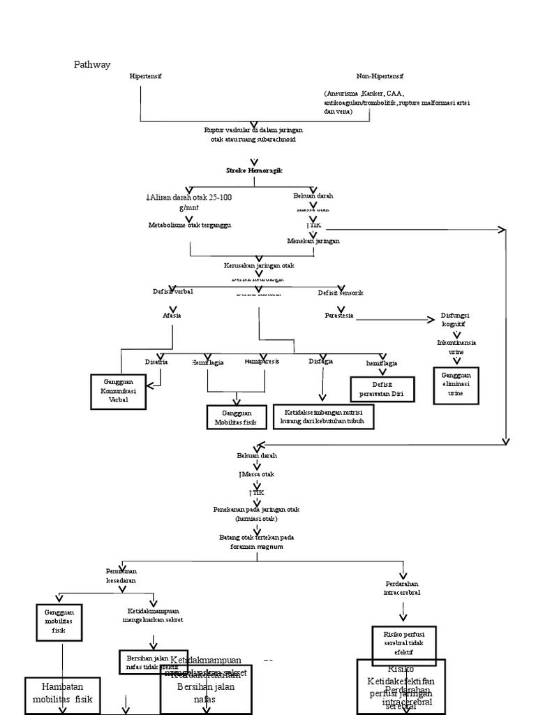 Pathway Stroke Haemoragik | PDF