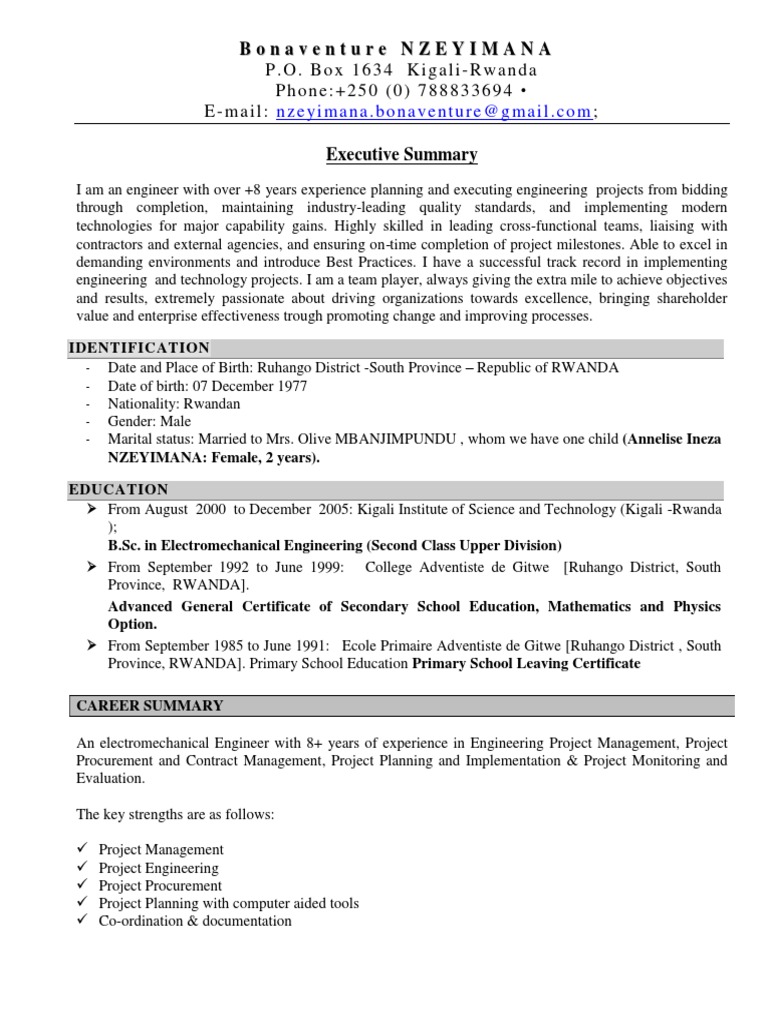 Electrical Report of IP | PDF | Project Management | Specification ...