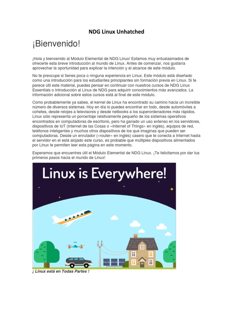 NDG Linux Unhatched | PDF | Interfaz de línea de comando | Directorio (Computación)