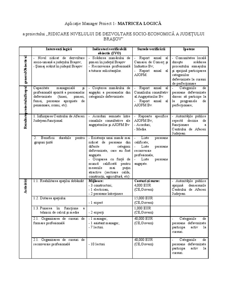 Exemplu Matricea Logica | PDF