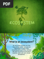 Natural and Man Made Ecosystem | PDF | Ecosystem | Biodiversity