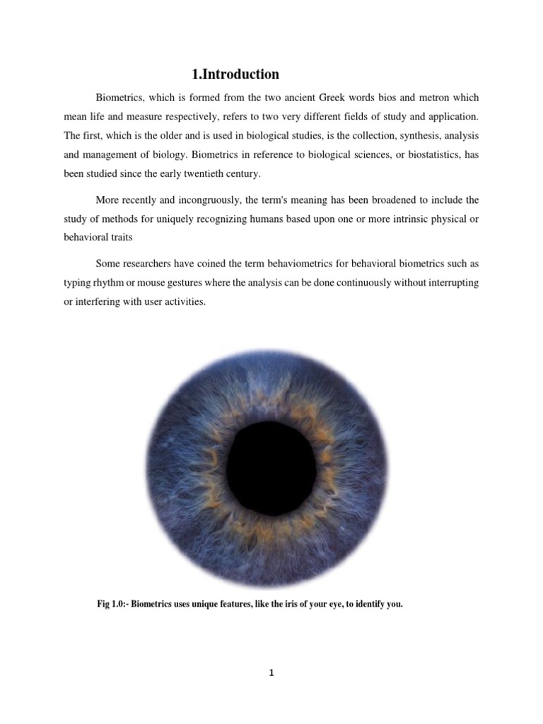 Fig 1.0:-Biometrics Uses Unique Features, Like The Iris of Your Eye, To ...