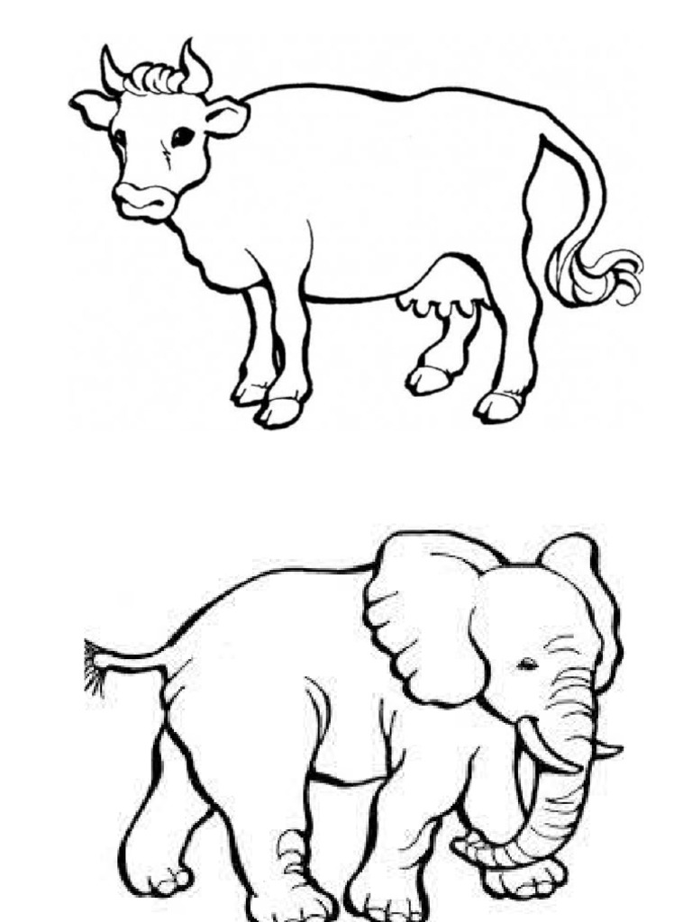 Gambar Haiwan Transisi | PDF