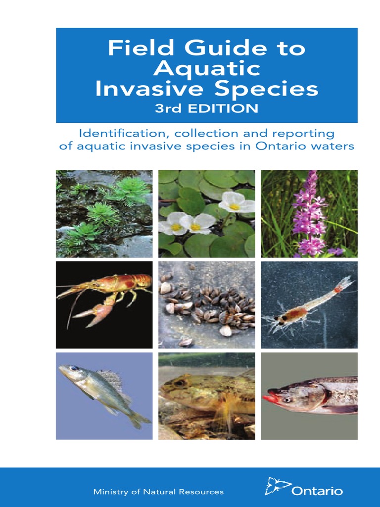 Field Guides To Aquatic Invasive Species | PDF | Introduced Species | Leaf