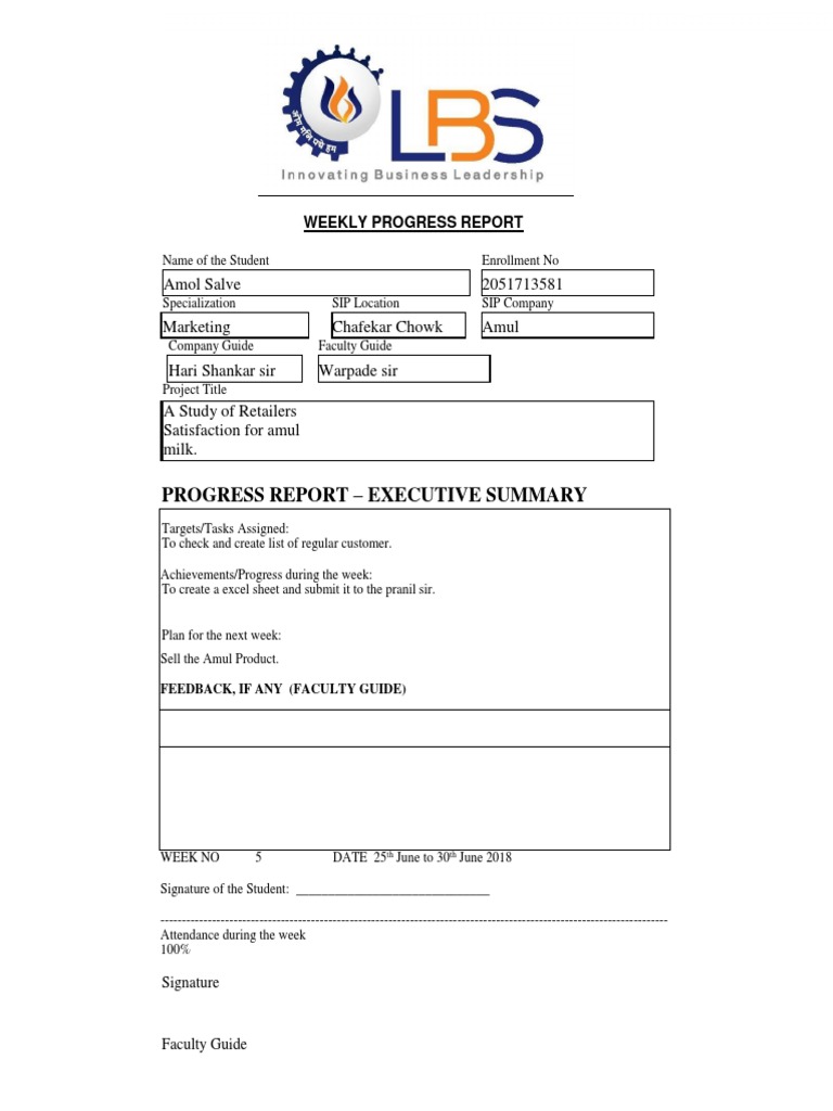 Weekly Report Format | PDF