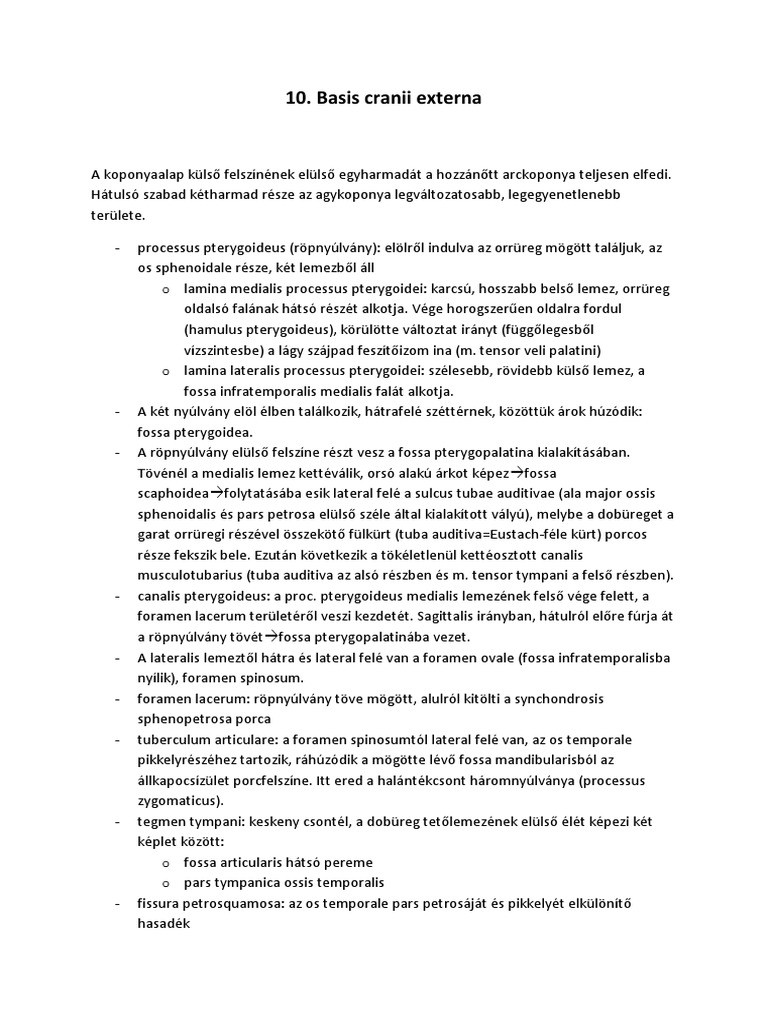Basis Cranii Externa | PDF