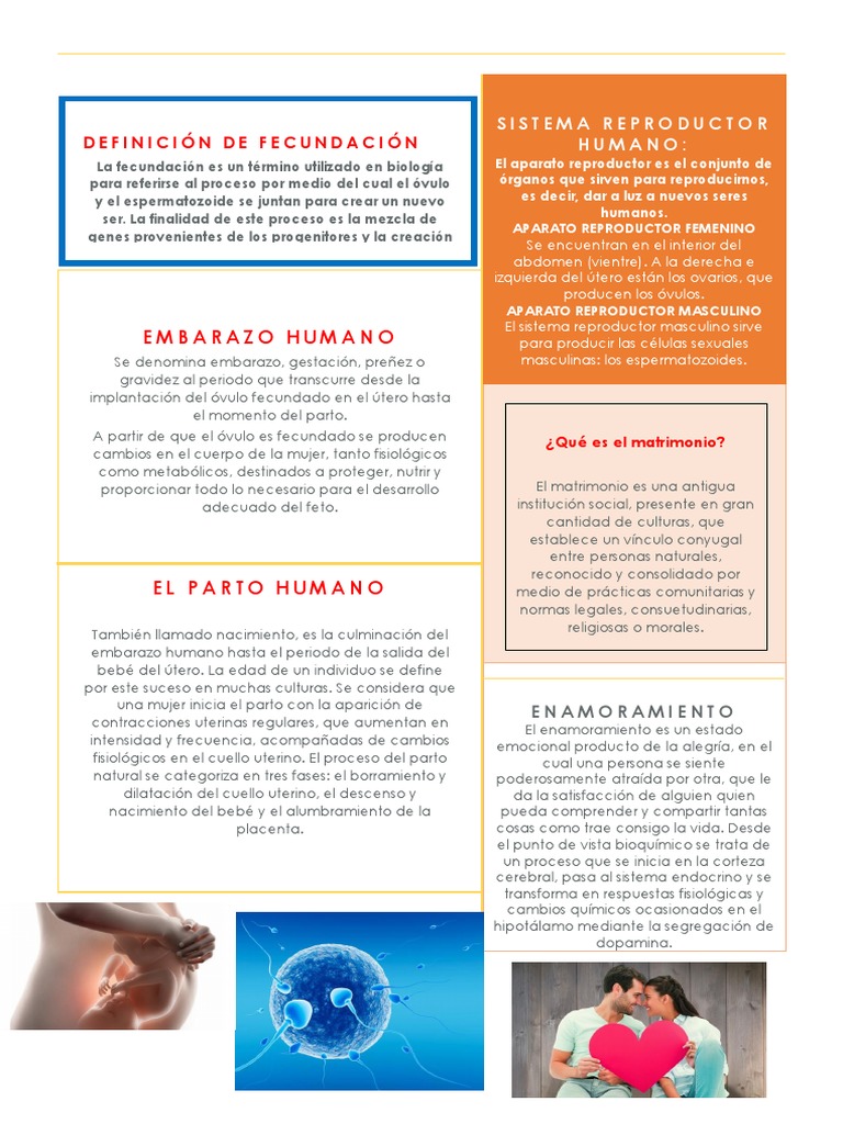 Definición de Fecundación | PDF | Parto | El embarazo
