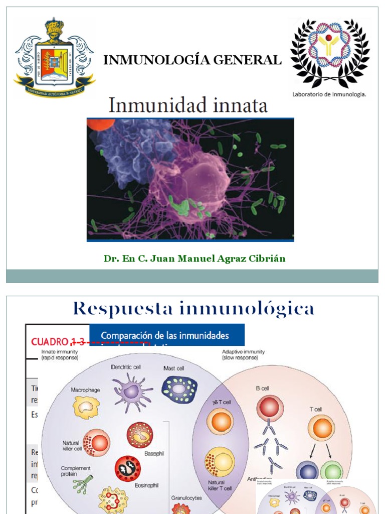 2a. Inmunidad Innata.pdf | Sistema inmune | Sistema inmune innato