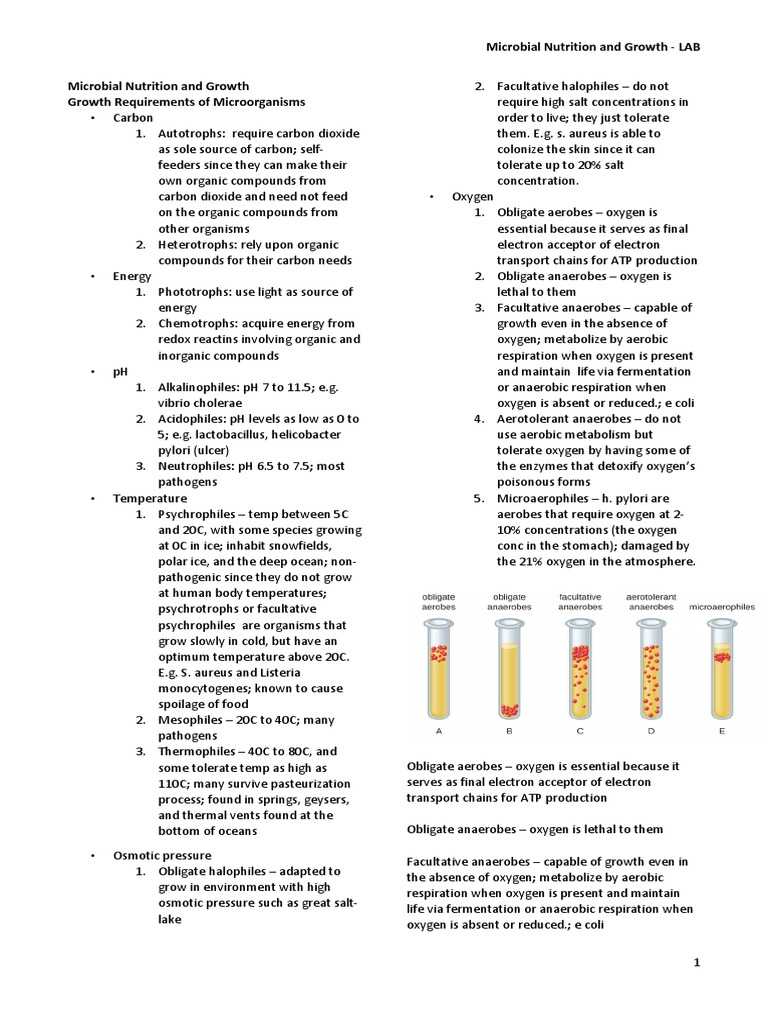 Microbial Growth Micro Lab PDF | PDF | Growth Medium | Cellular Respiration