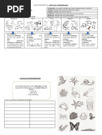 Clasificacion Animales Vertebrados | PDF | Hogar, jardinería y ...