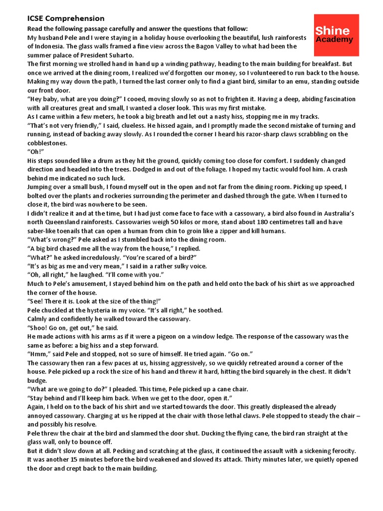 Reading Comprehension | PDF