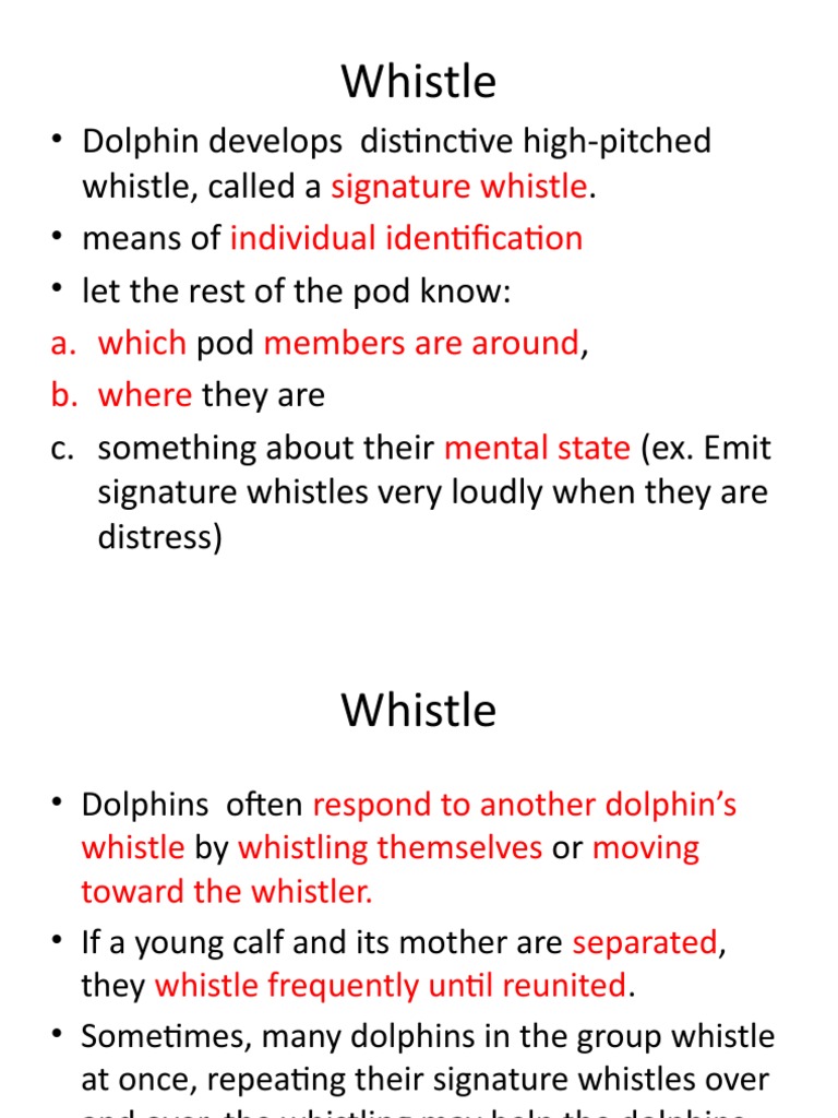 Dolphin Communication: Whistles and Touch | PDF