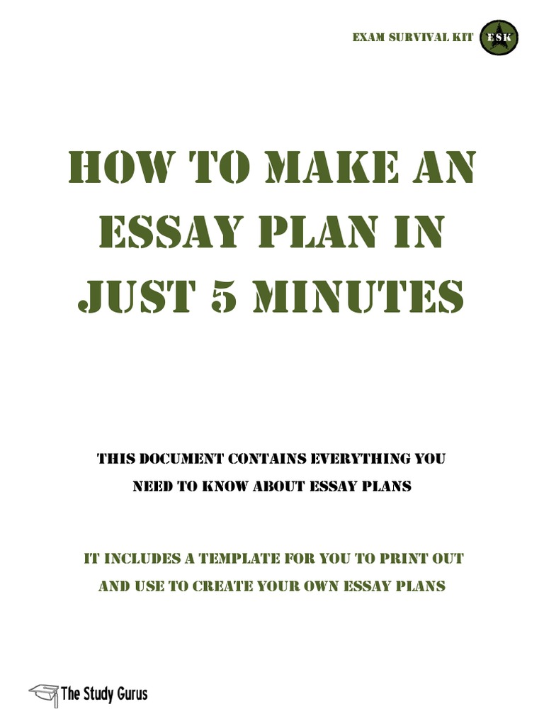 (TSG) Essay Plan Template PDF | PDF | Essays | Paragraph