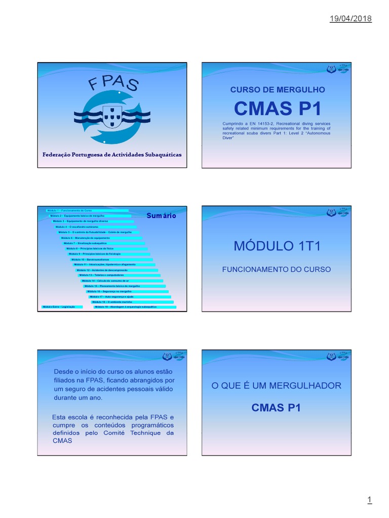 CMAS P1 (Resumo Geral) PDF | PDF | Pulmão | Veia