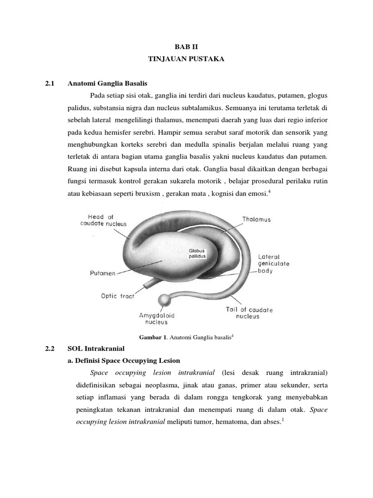 Bab 2 Sol Intrakranial | PDF