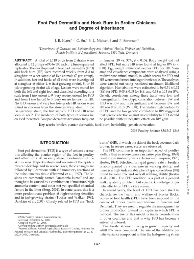 Foot Pad Dermatitis and Hock Burn in Broiler Chickens and Degree ...