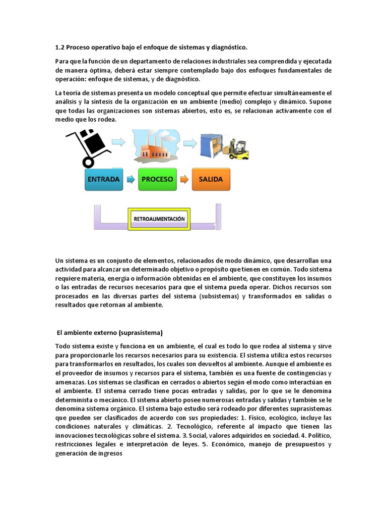 1.2 Proceso Operativo Bajo El Enfoque de Sistema y Diagnostico. | PDF ...