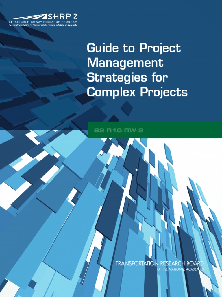 Project Management Strategy PDF | PDF | Project Management | Innovation