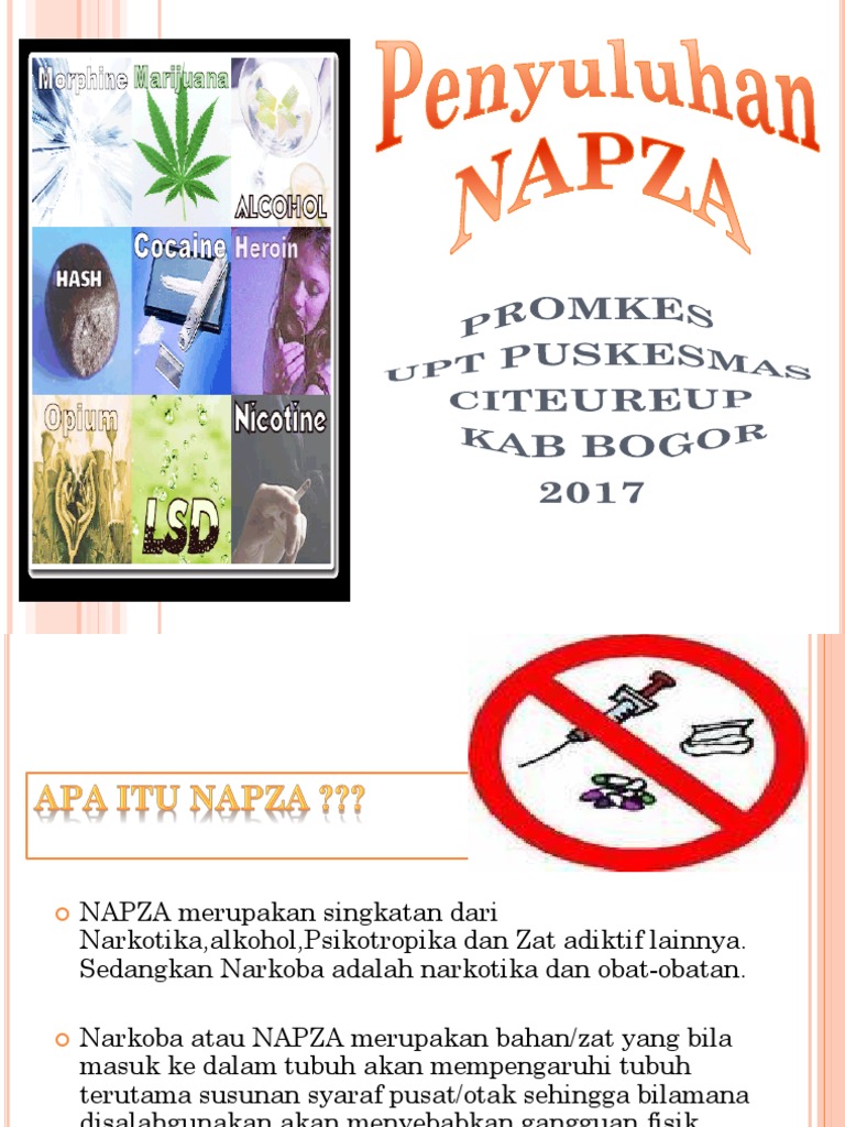 PPT NAPZA