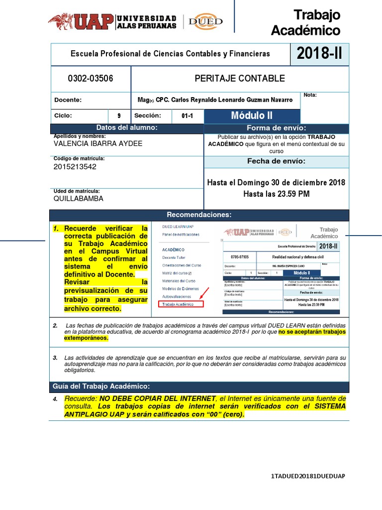 0302-03506 Peritaje Contable: Módulo II | Testigo experto | Contador