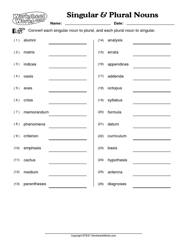 WorksheetWorks Singular Plural Nouns 10 | PDF | Addendum | Cognitive ...