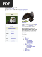 Eagle | PDF